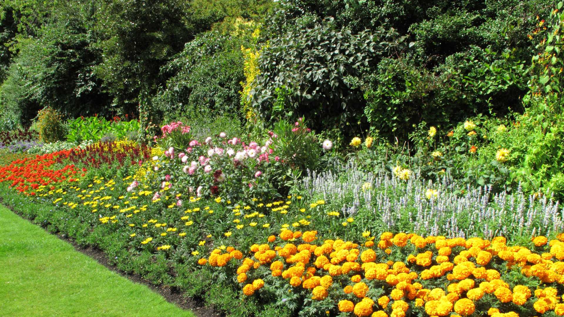 Planting Design for the Home Gardener | UCLA Continuing Education