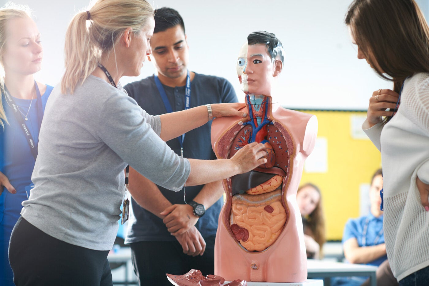 Introduction To Human Anatomy Course UCLA Extension Introduction To Human Anatomy Course UCLA Extension