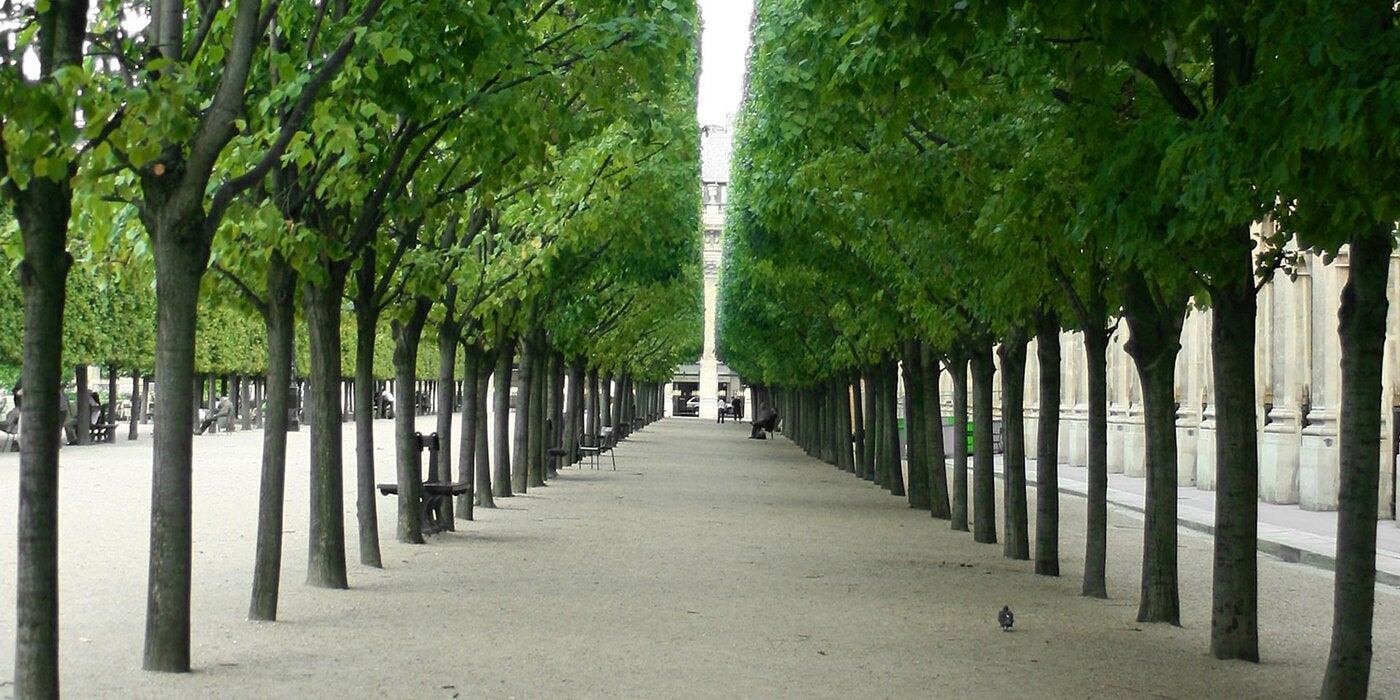 The Study of Trees Course - UCLA Extension