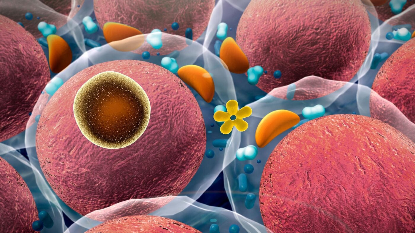 Foundations in Human Physiology Course - UCLA Extension