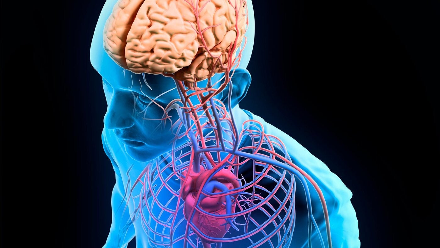 Human Anatomy And Physiology Course UCLA Extension Human Anatomy And Physiology Course UCLA Extension