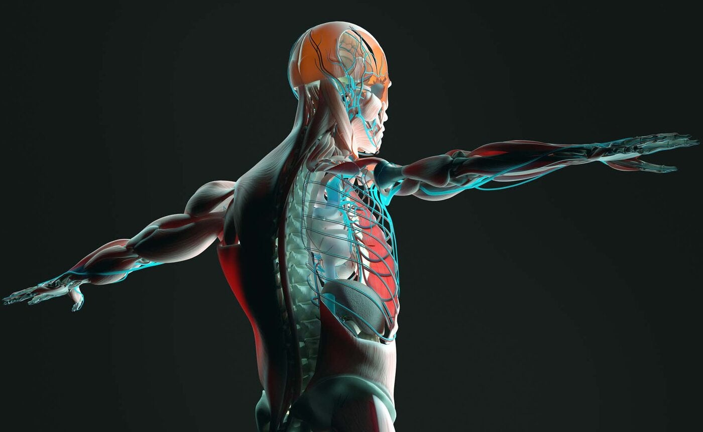The Human Body: How It Functions Course - UCLA Extension