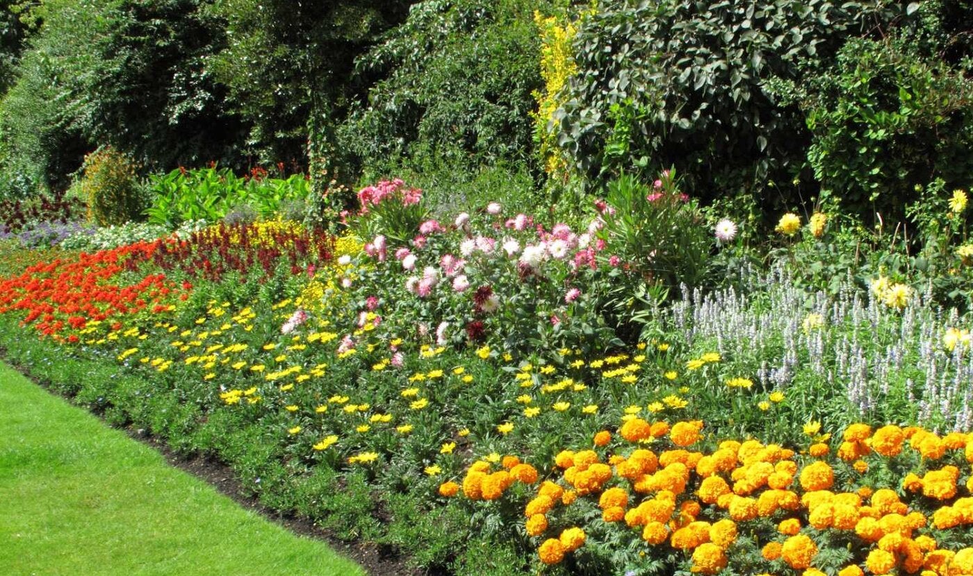 Planting Design for the Home Gardener Course - UCLA Extension