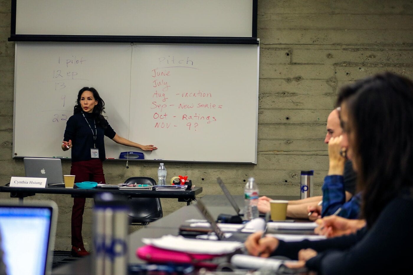 Television Series Development Workshop Course - UCLA Extension